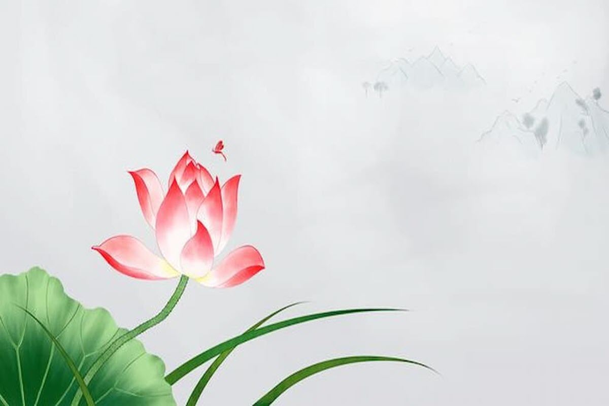 Hình nền PowerPoint hoa sen